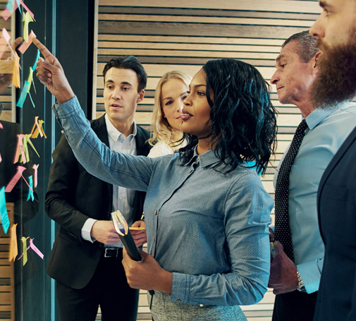 SCL Professional - SCL